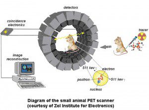 Large Aperature Rotary Tables in Medical Research Tomography Applications